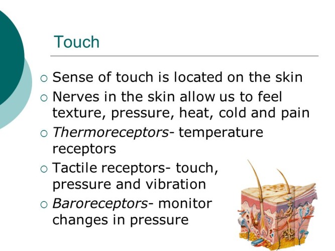 » Skin and touch Beauty Blog | Makeup | Esthetics | Beauty tips ...